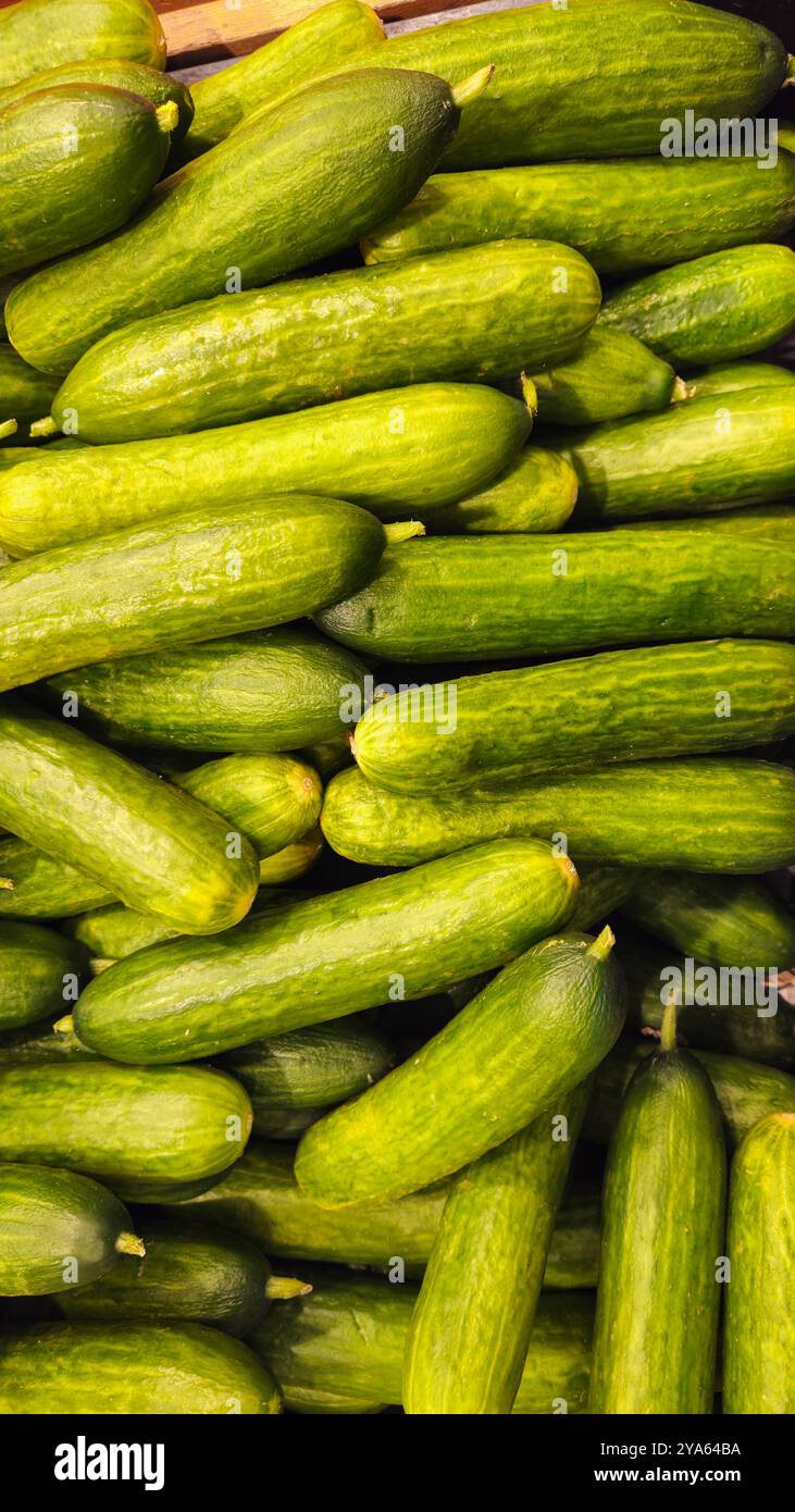 Cucumbers background. Cucumbers on store shelves. Vegetables in the ...