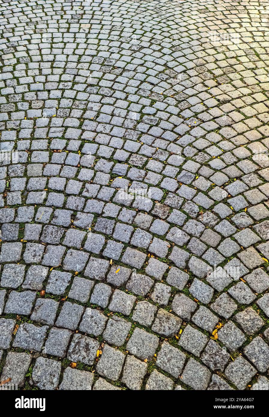 Surface texture of a cobblestone street in a historic city centre Stock ...