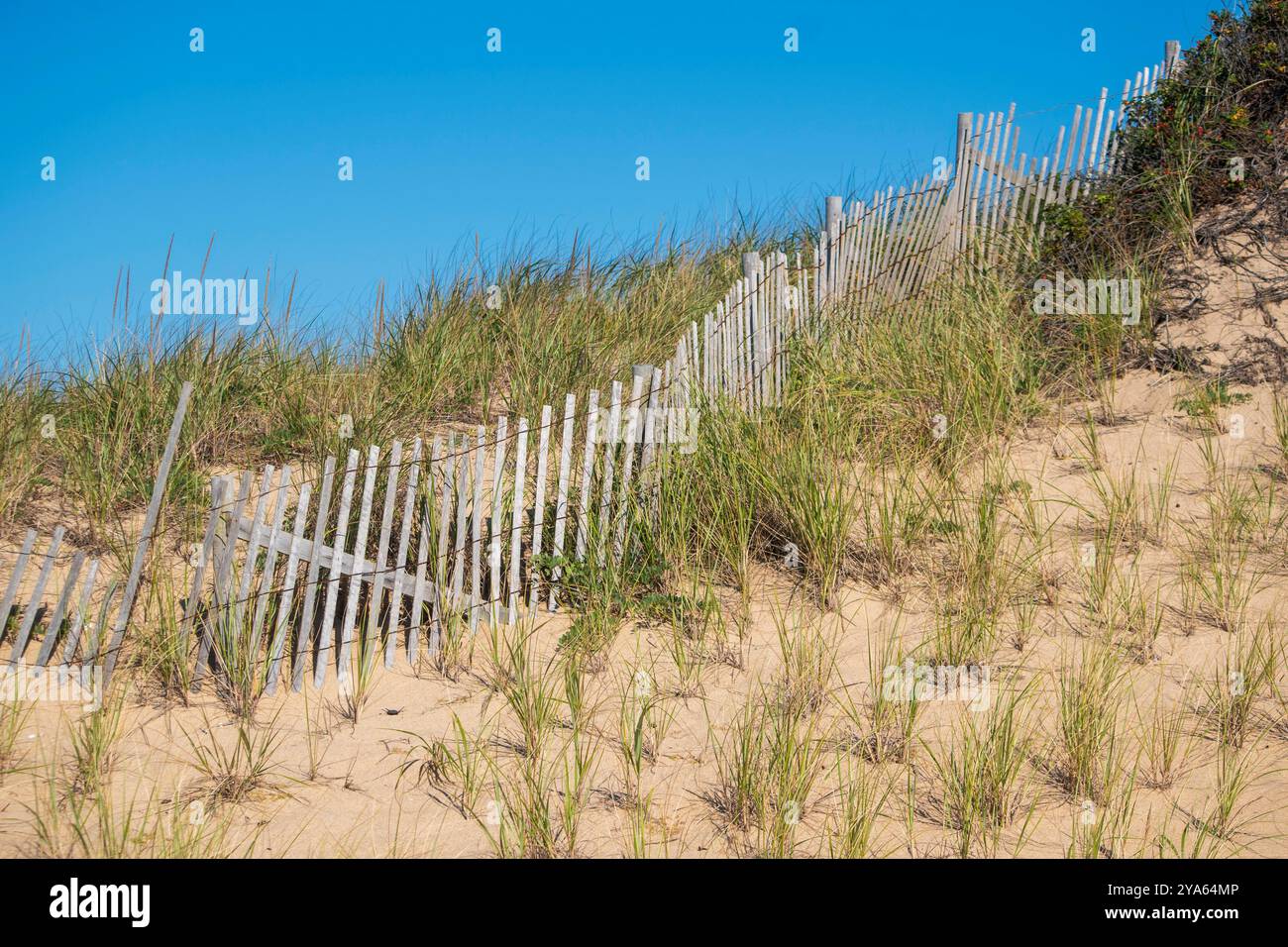 Cape Cod National Seashore features Herring Cove and full access to the ...