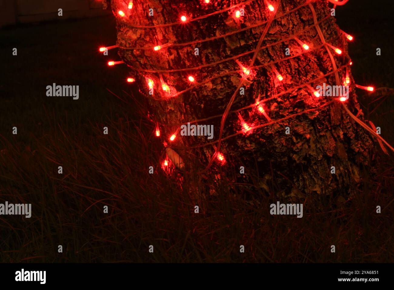 christmas tree lights Stock Photo - Alamy