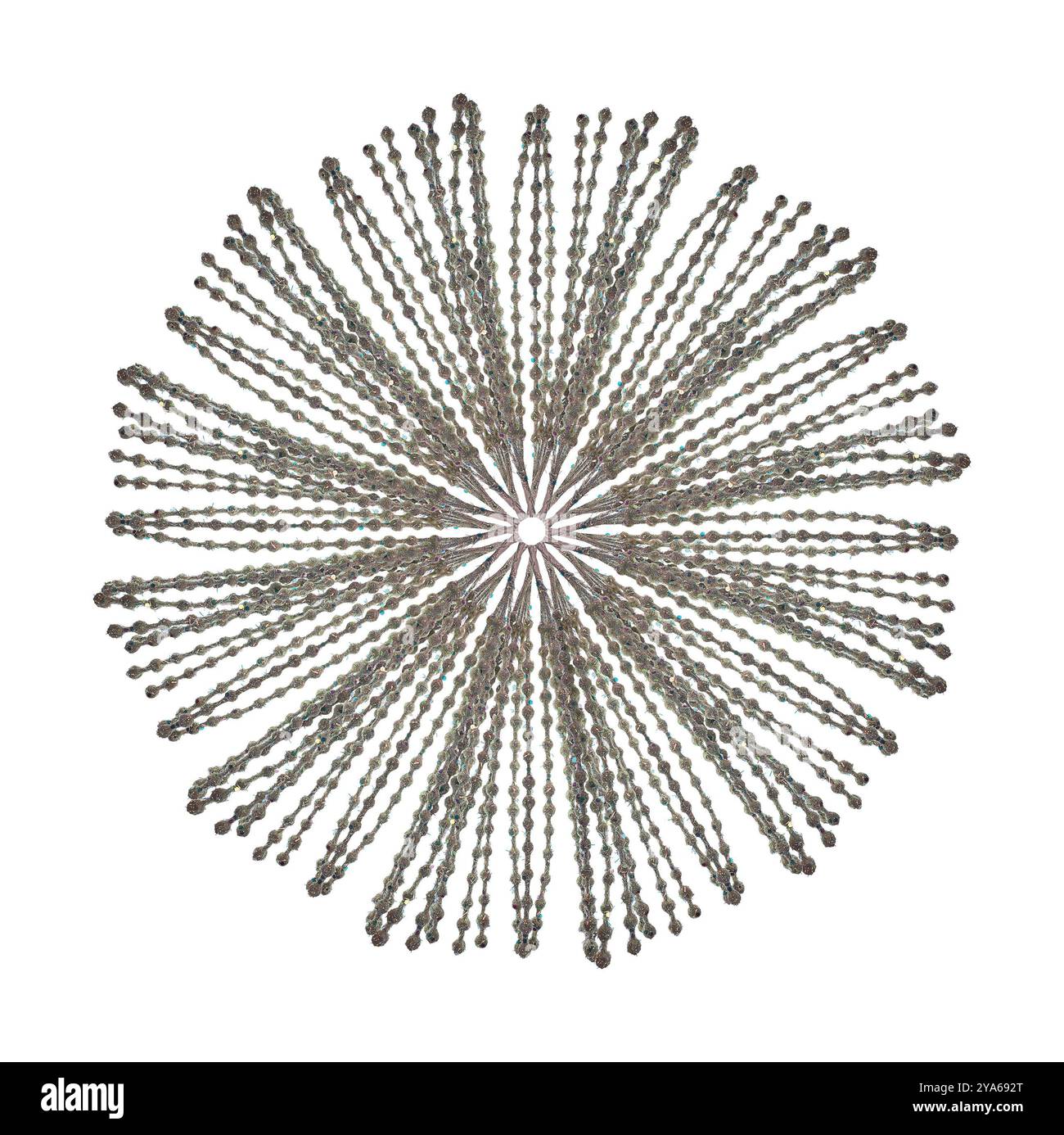 Brilliance sparkle Cut Out Stock Images & Pictures - Alamy