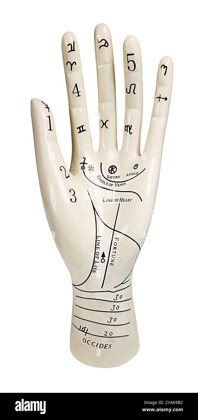 A vintage palm reading model for learning palm reading Stock Photo - Alamy