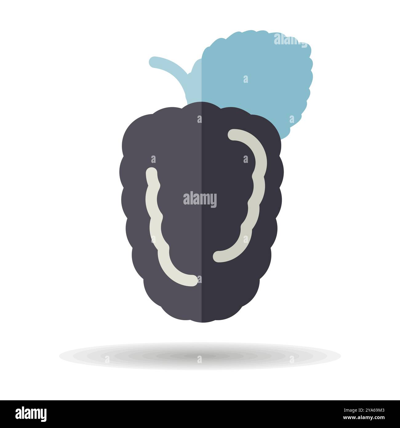 Mulberry fruit with leaves vector icon. Graph symbol for food and ...