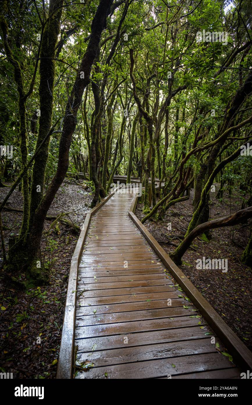 Rural anaga park tenerife spain hi-res stock photography and images - Alamy