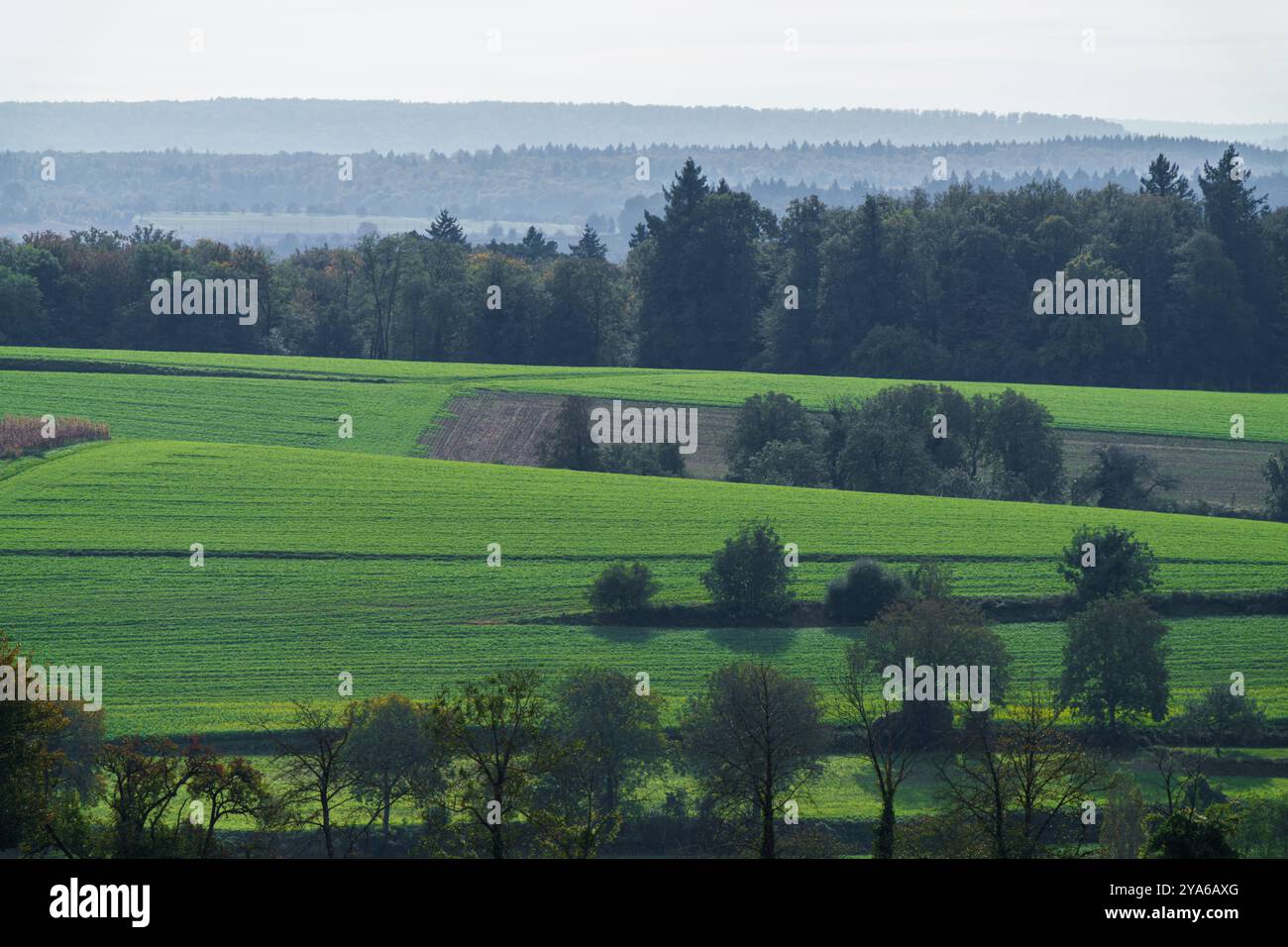 A stunning green landscape with rolling hills and forests, creating a ...