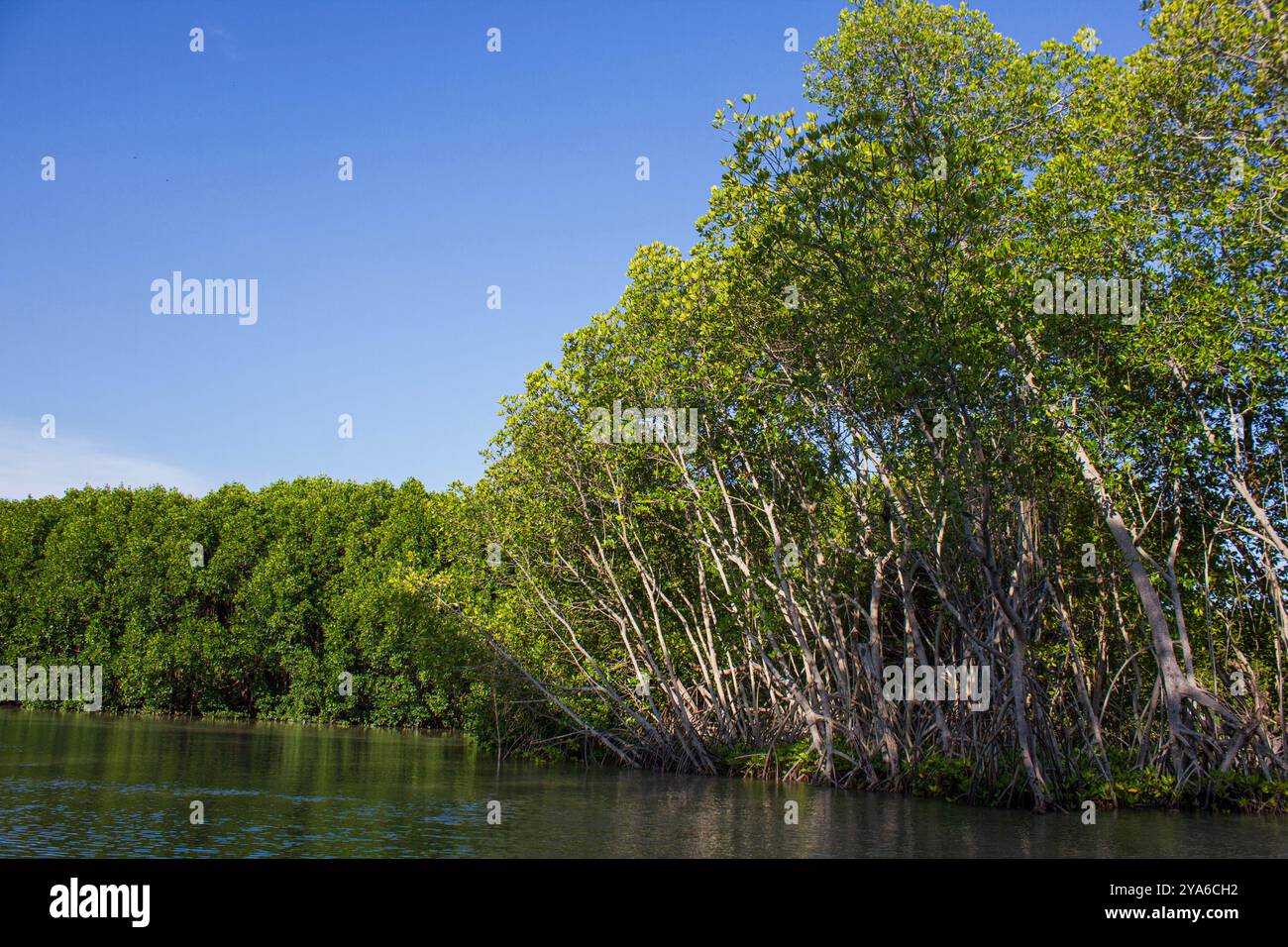 North sea of java hi-res stock photography and images - Alamy