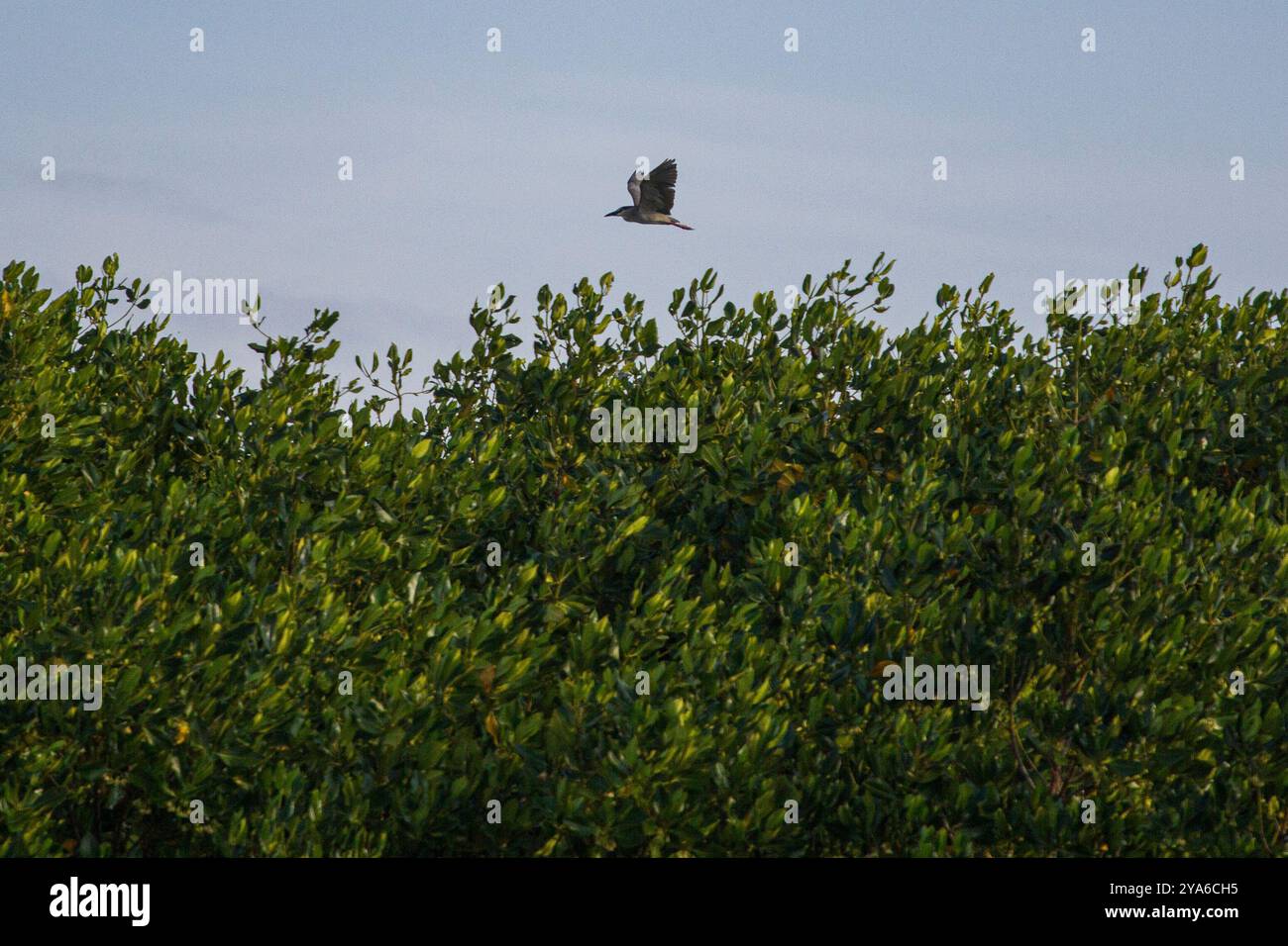 Slow abrasion hi-res stock photography and images - Alamy