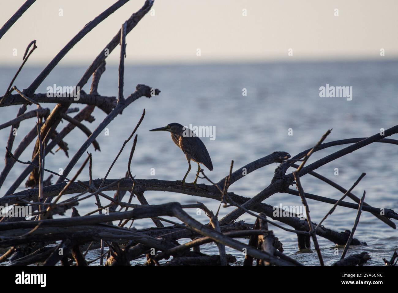 Slow abrasion hi-res stock photography and images - Alamy