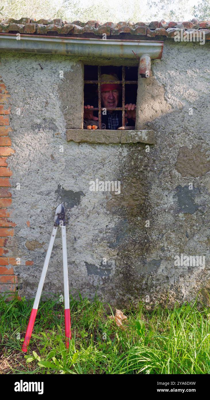 Elderly man has fun poking face through a window with bars n a farmers ...