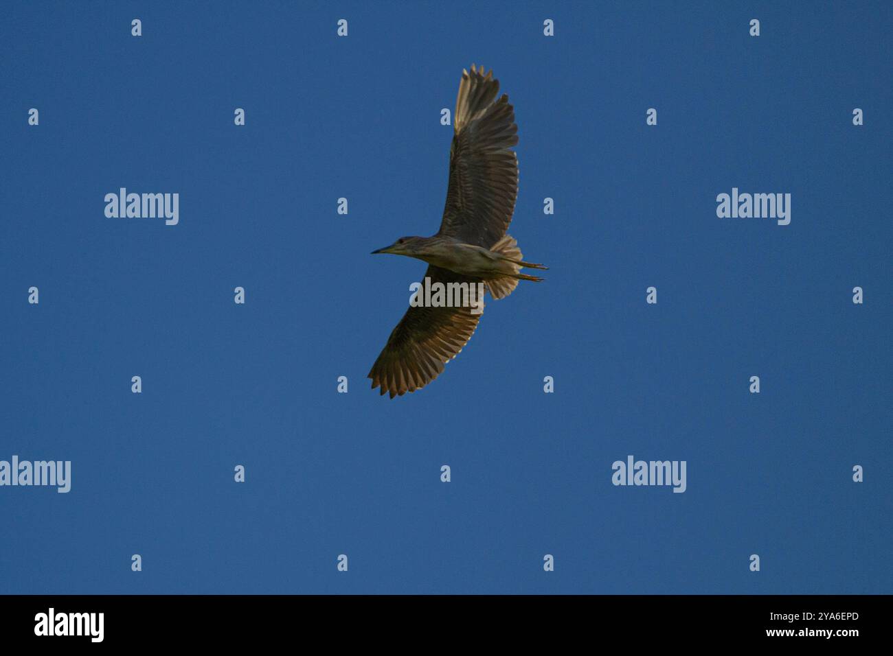 Slow abrasion hi-res stock photography and images - Alamy