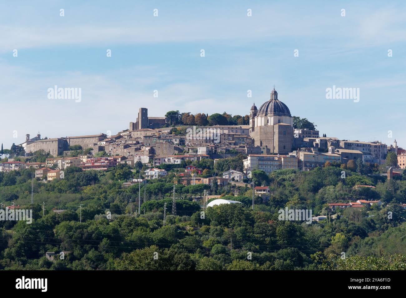 Margherita aka hi-res stock photography and images - Alamy