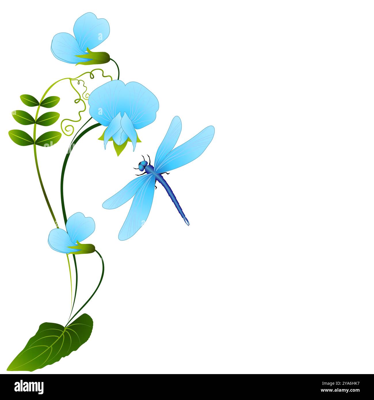 Dragonfly on blue flower Cut Out Stock Images & Pictures - Alamy