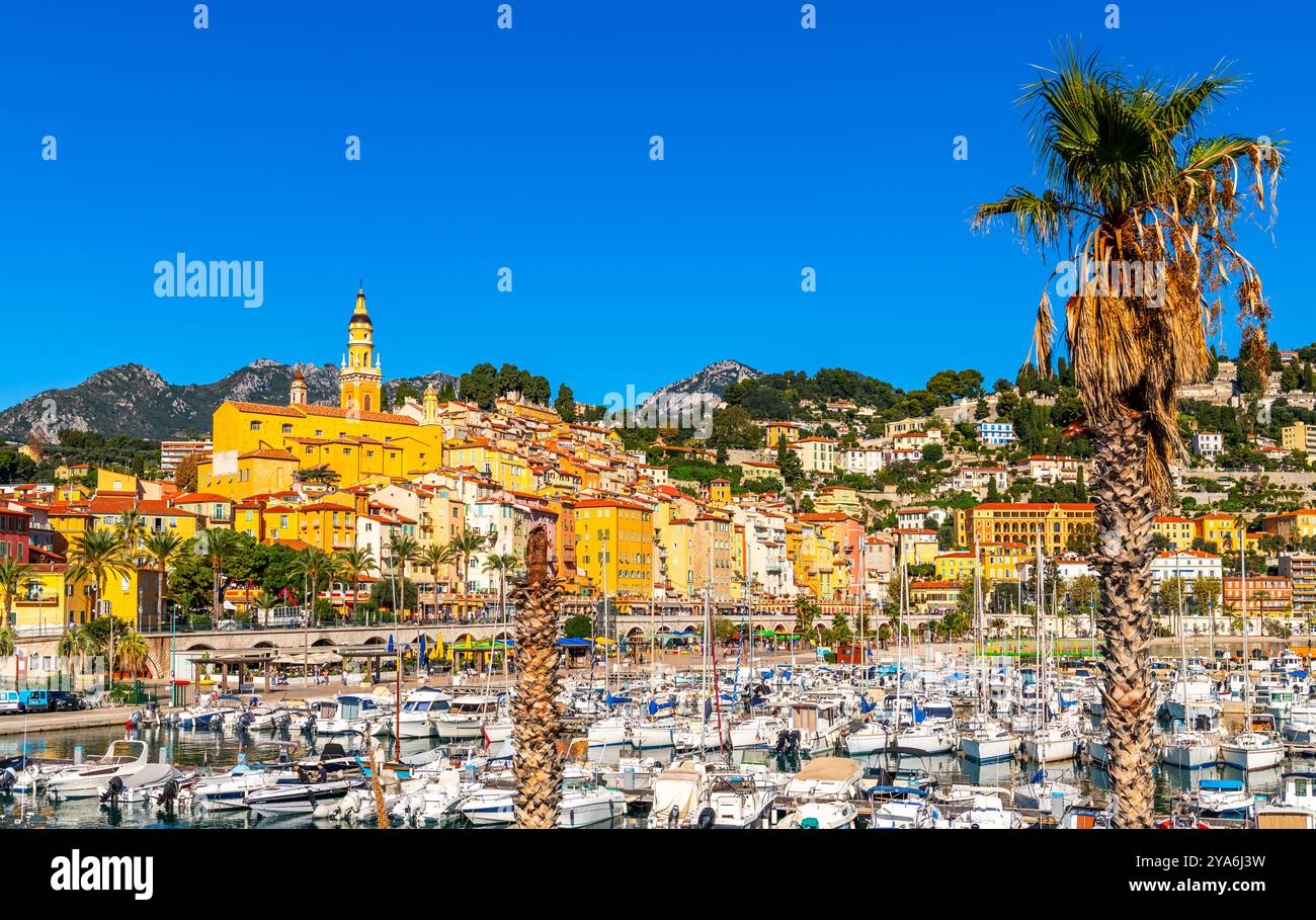 The old town of Menton in the Alpes Maritimes and its yellow facades ...