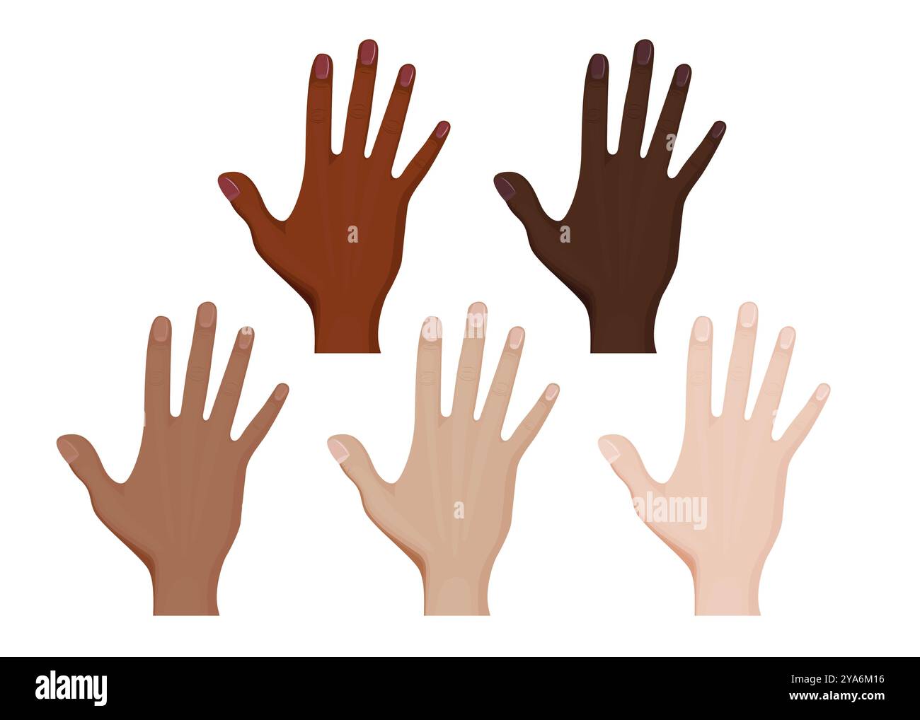 Front side of hands vector illustration design Stock Vector Image & Art ...