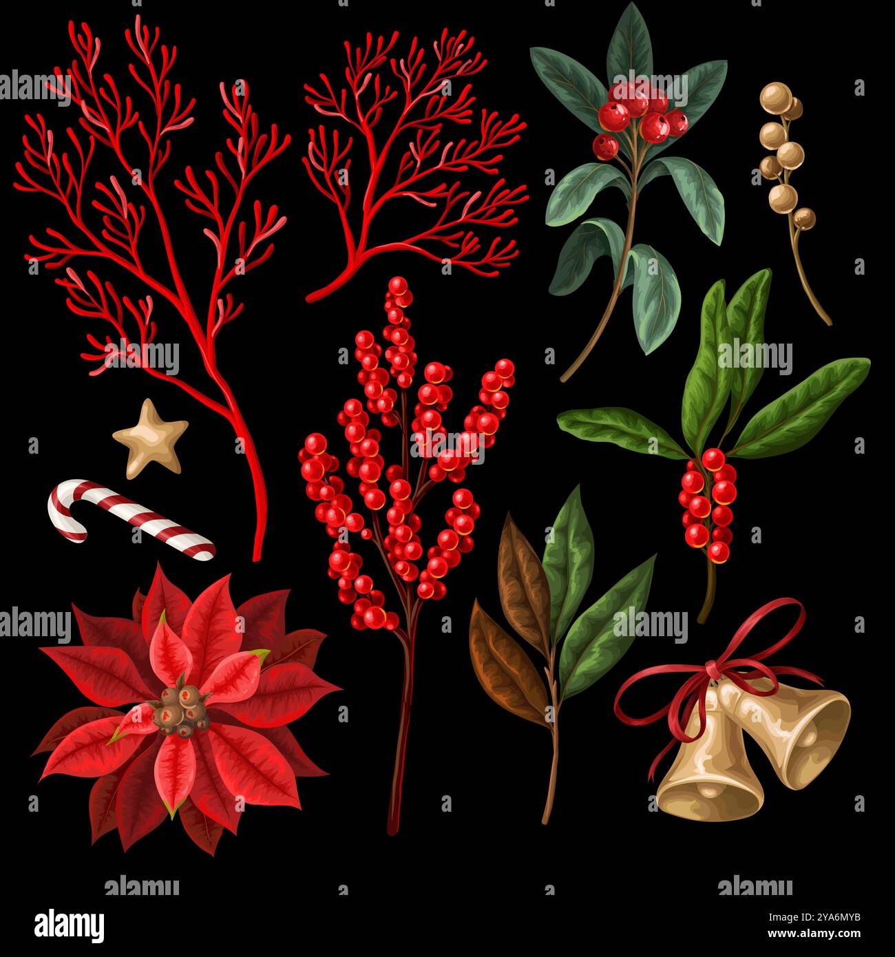 Red berries, poinsettia and bells isolated. Vector Stock Vector Image ...