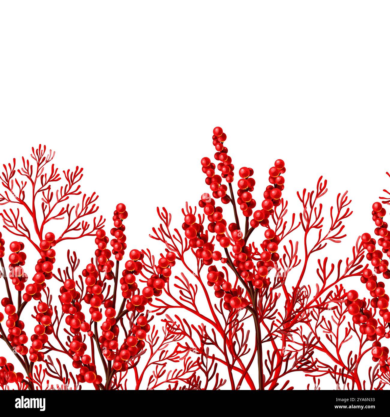 Christmas border with red berries. Vector Stock Vector Image & Art - Alamy