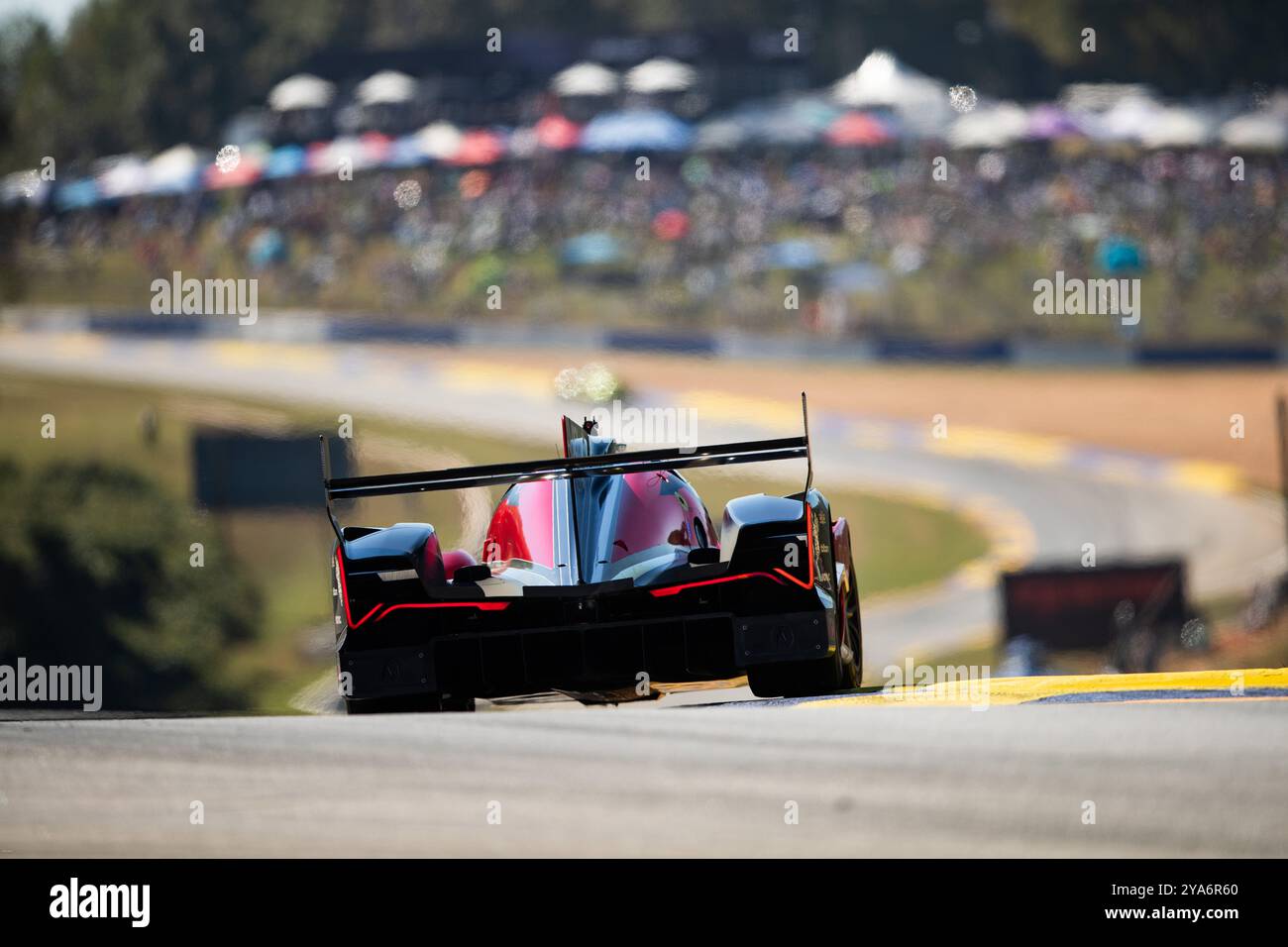 40 TAYLOR Jordan (usa), DELETRAZ Louis (che), HERTA Colton (usa ...