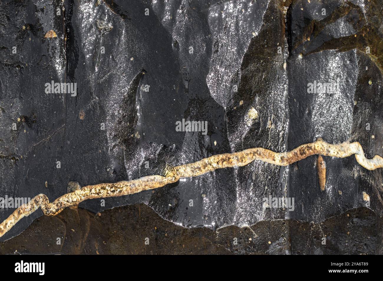 Black bumpy shiny stone with thin vein of white marble, Wavy smooth ...