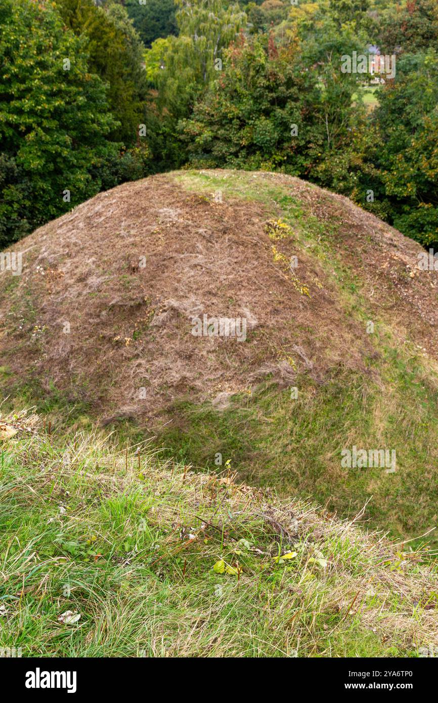 roman burial mounds Bartlow Cambridgeshire Stock Photo - Alamy