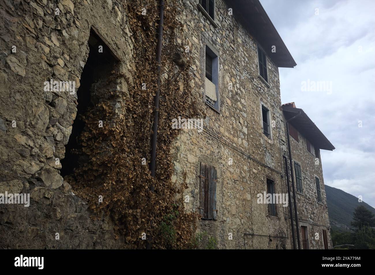 Facade of an abandoned stone house with a withered creeper plant over ...