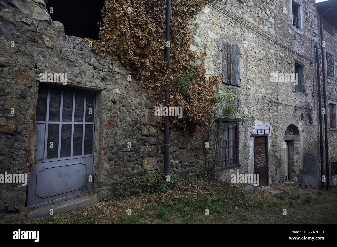 Facade of an abandoned stone house with a withered creeper plant over ...