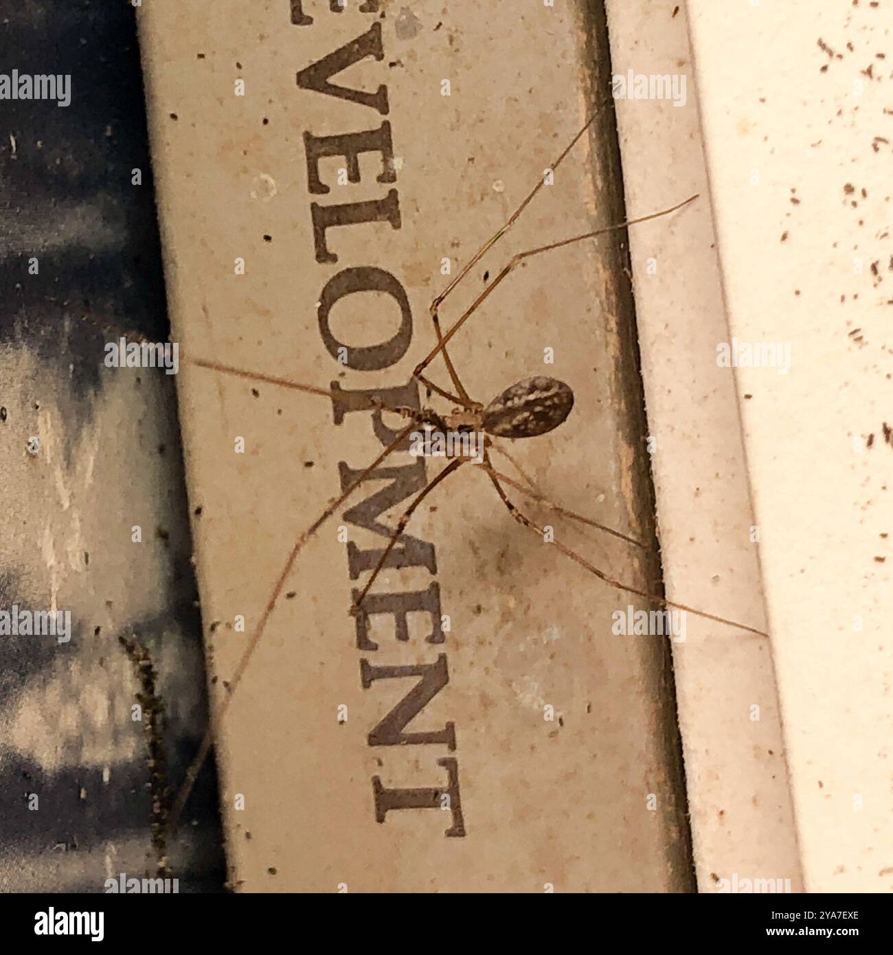 Manueli hi-res stock photography and images - Alamy