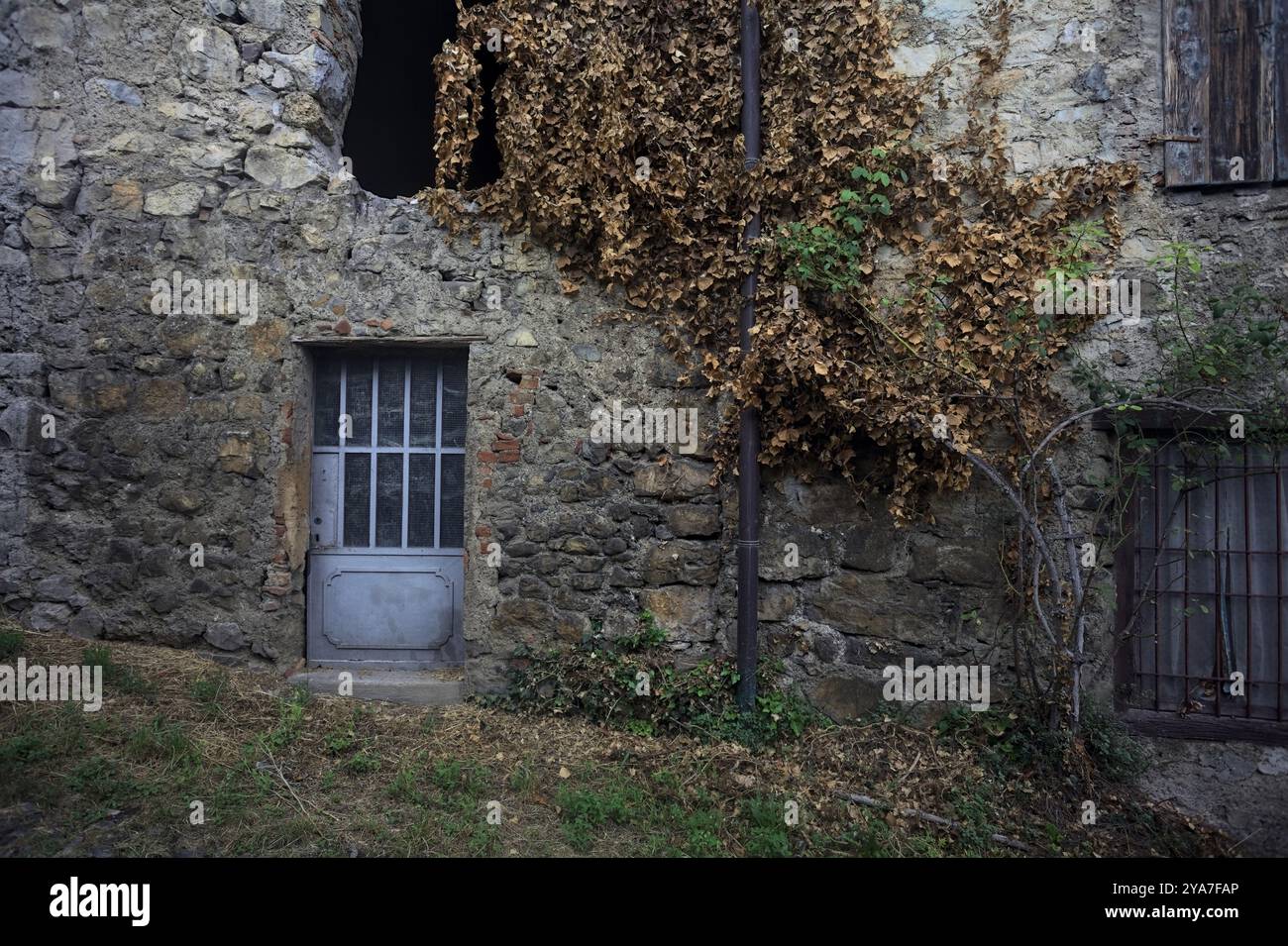Facade of an abandoned stone house with a withered creeper plant over ...