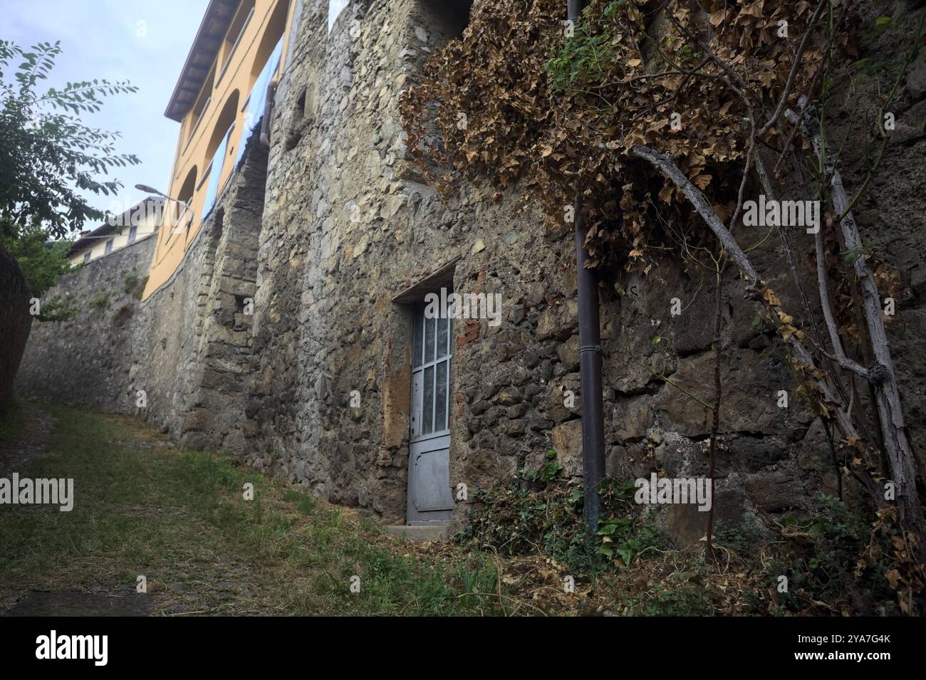 Facade of an abandoned stone house with a withered creeper plant over ...