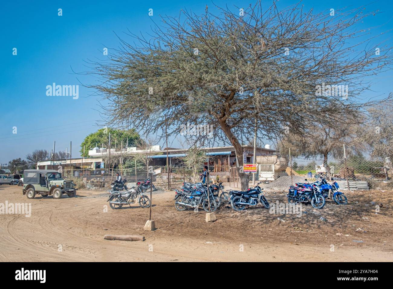 Mandawa, India - February 11, 2024: motorbikes at the shadow of a tree ...