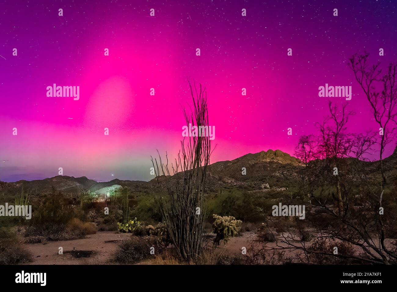 Arizona desert at night sky hi-res stock photography and images - Alamy