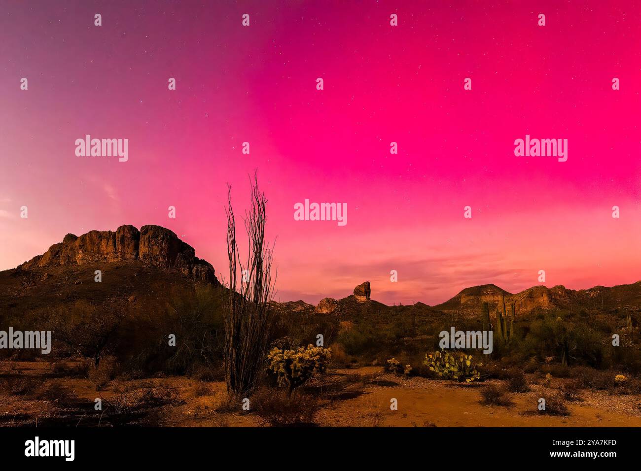 Northern lights sighting hi-res stock photography and images - Alamy