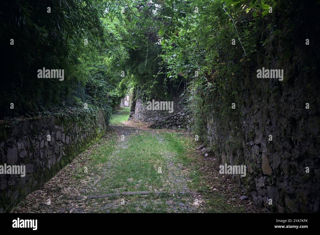 Sloppy path in the shade bordered by stone walls in a park in the ...