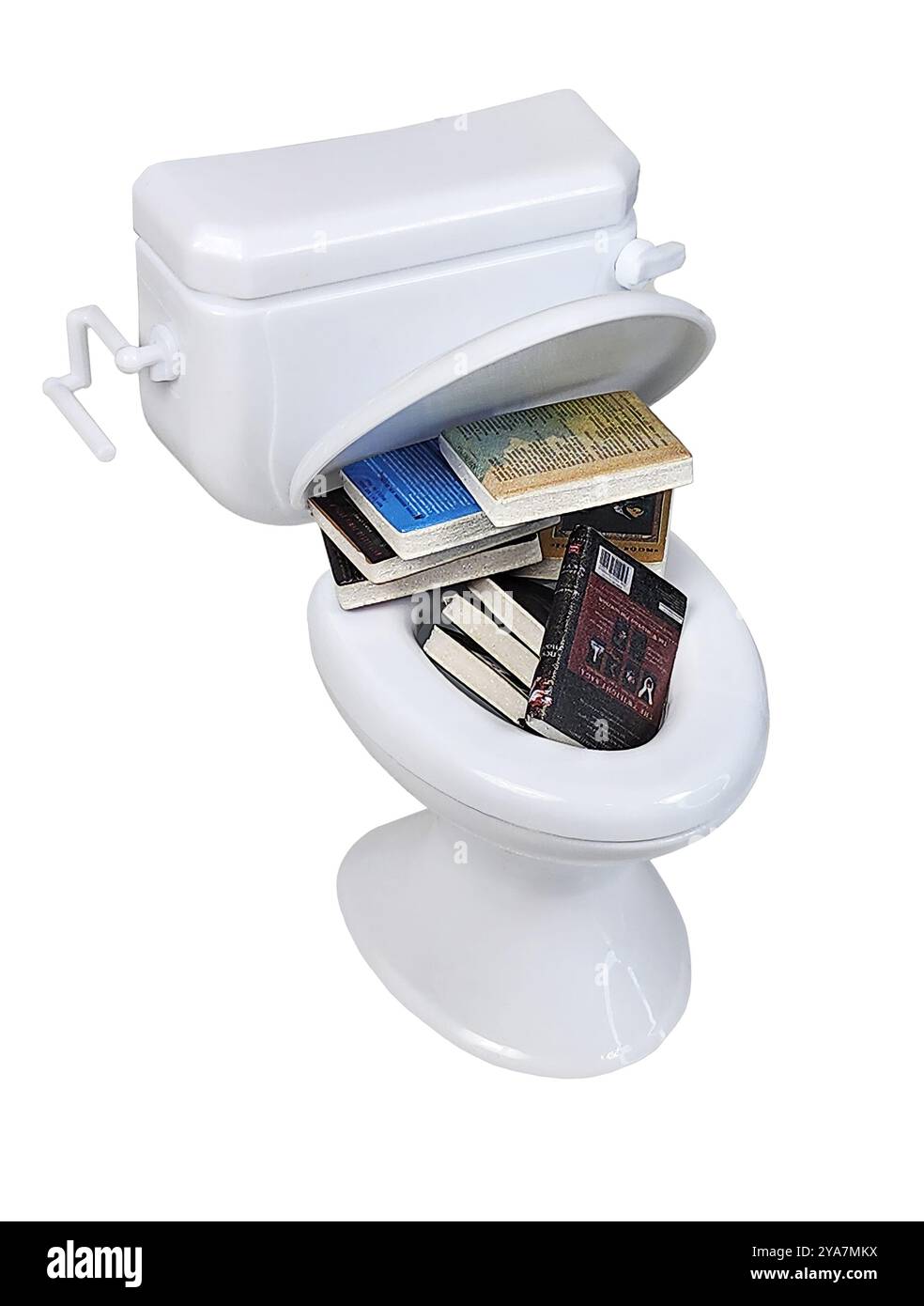 Plain white open toilet full of books Stock Photo - Alamy