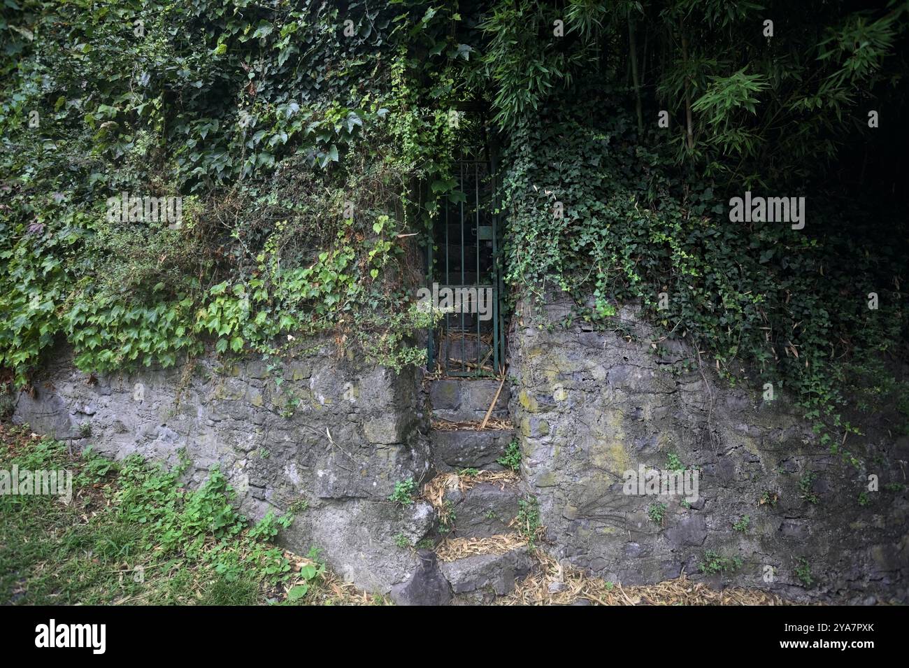 Gate in a stone wall hi-res stock photography and images - Alamy
