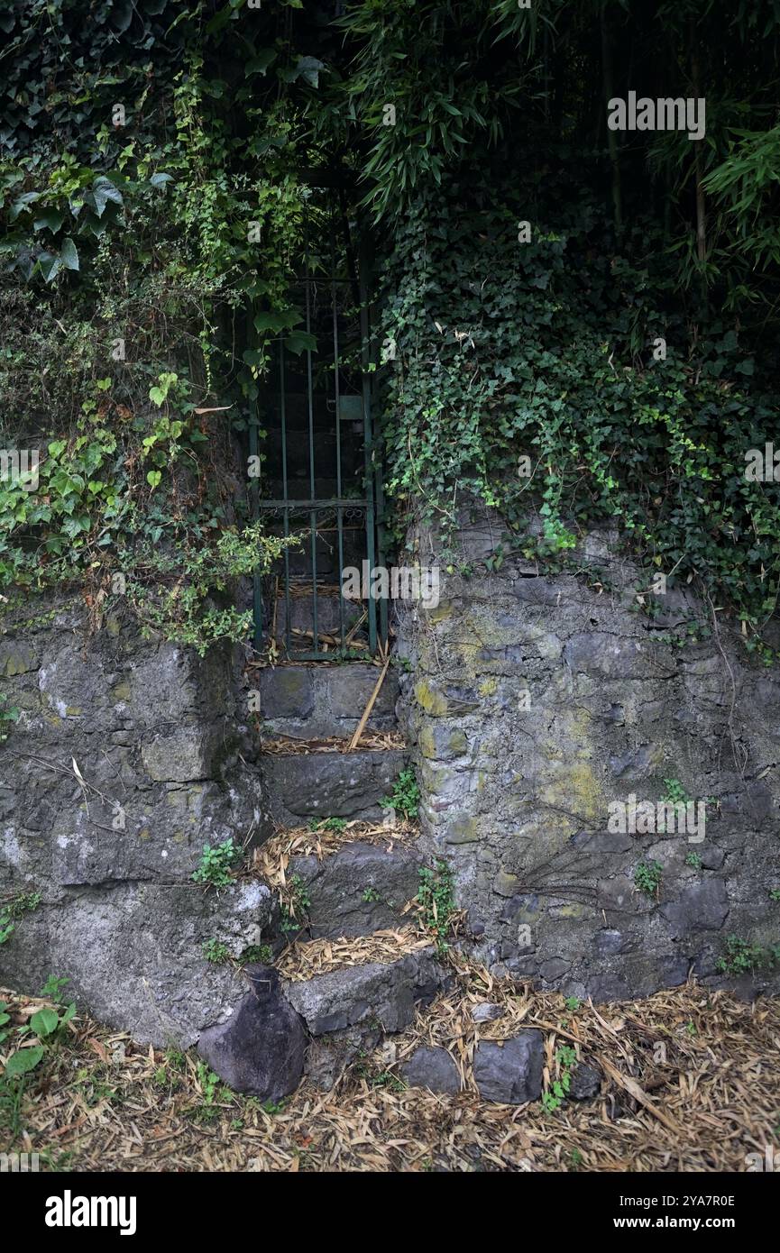 Narrow staircase and an entrance gate in a stone wall in a park Stock ...