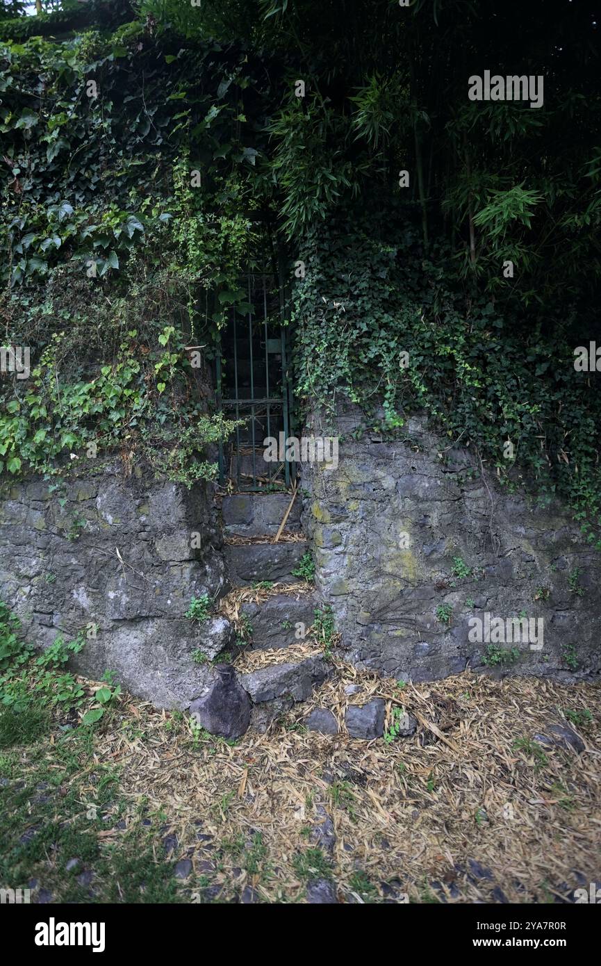 Stone staircase and gateway hi-res stock photography and images - Alamy