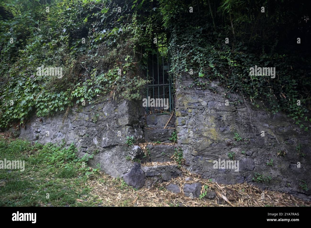 Stone staircase and gateway hi-res stock photography and images - Alamy