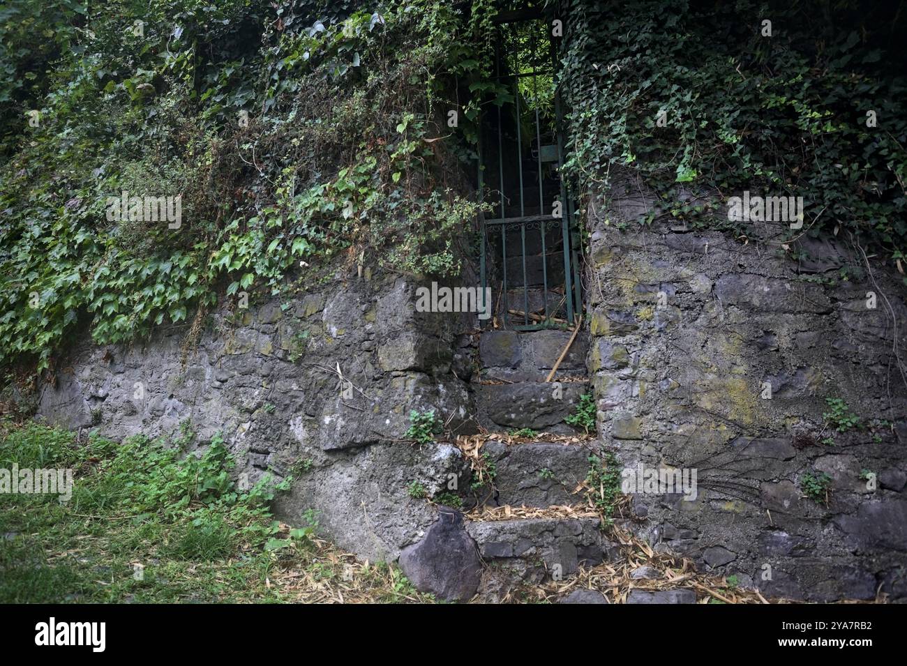 Narrow staircase and an entrance gate in a stone wall in a park Stock ...