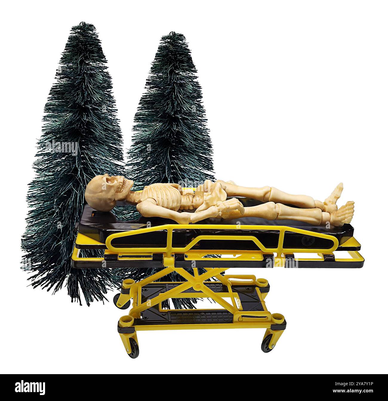 Tree and Skeleton laying on a Medical Gurney for Transporting Patients ...