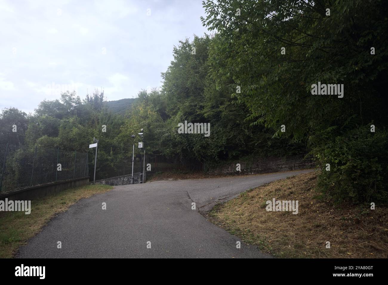 Narrow wilderness asphalt road hi-res stock photography and images - Alamy