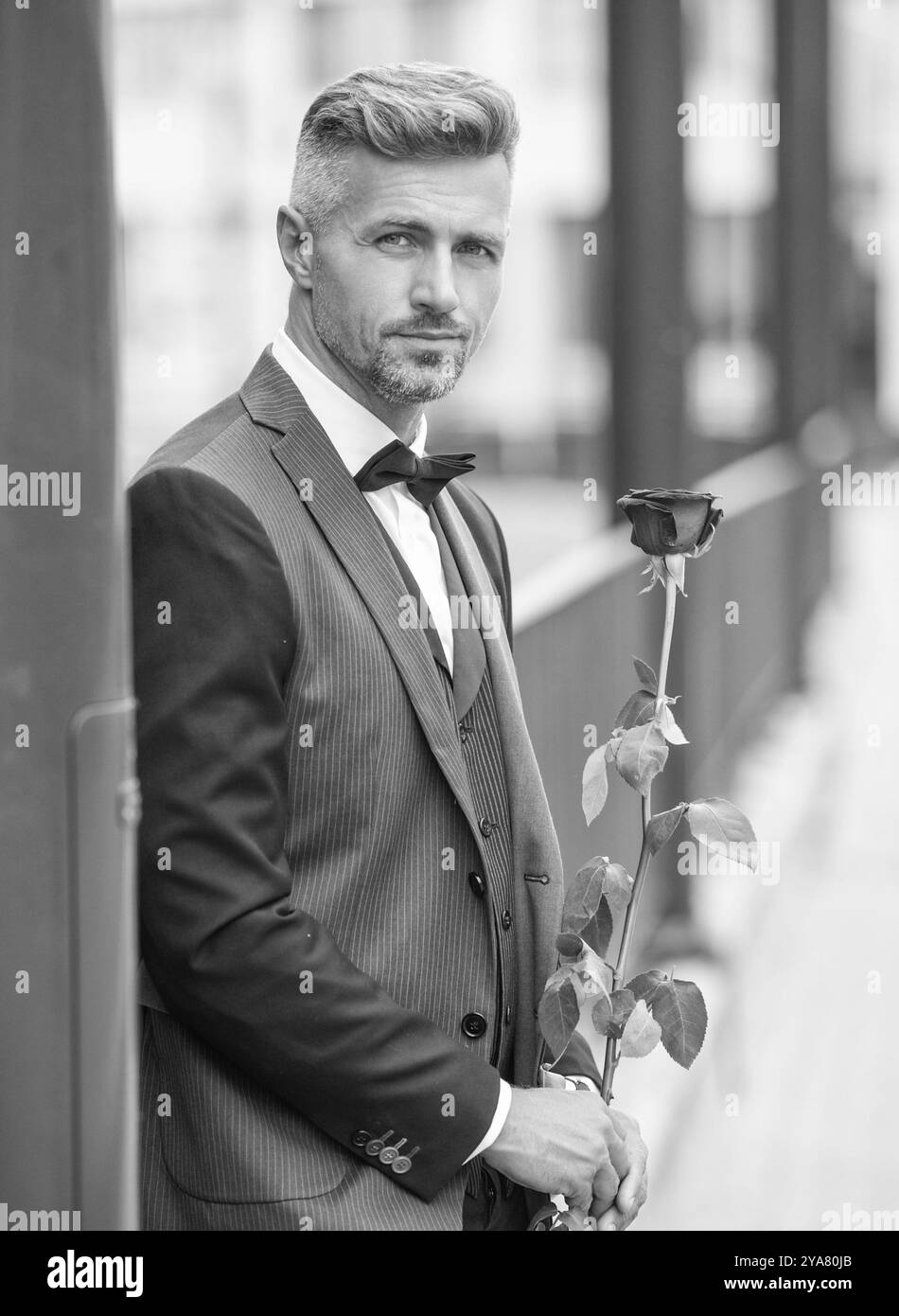 engagement date. grizzled man celebrates engagement. man with rose gift ...