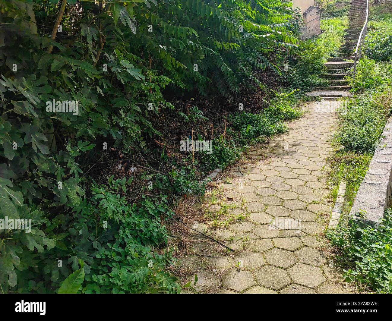 Outdoor staircase with greenery hi-res stock photography and images - Alamy