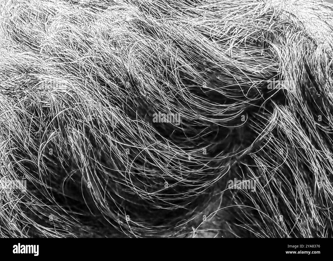 Beauty perspective hi-res stock photography and images - Alamy