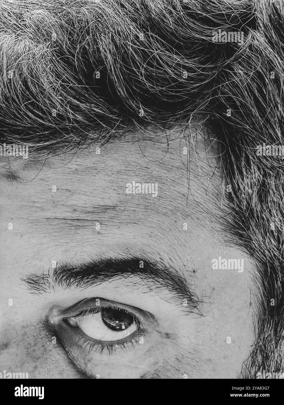 Direct gaze hi-res stock photography and images - Alamy