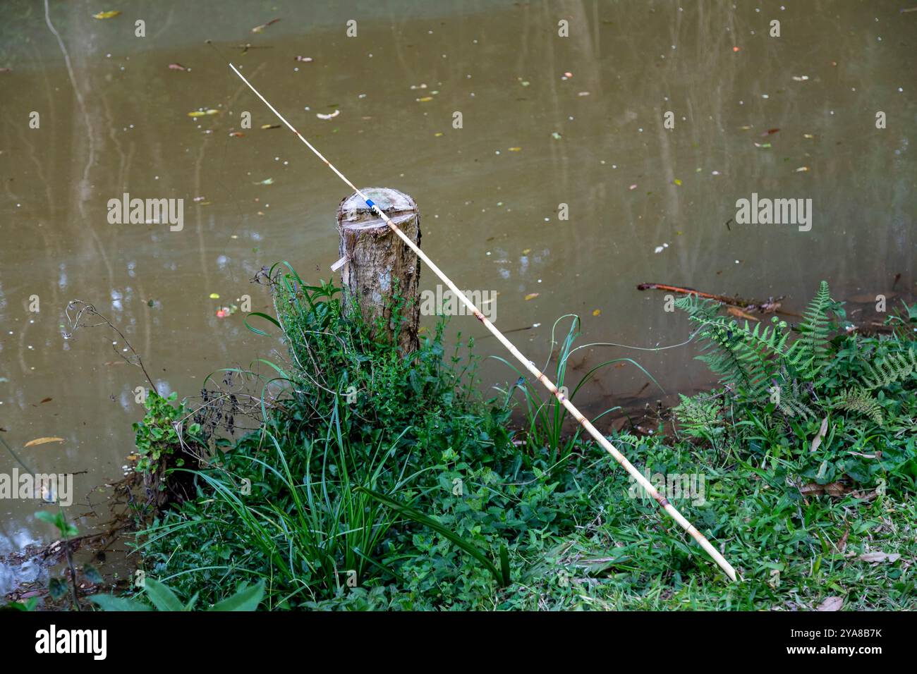 Artisanal fishing hi-res stock photography and images - Alamy