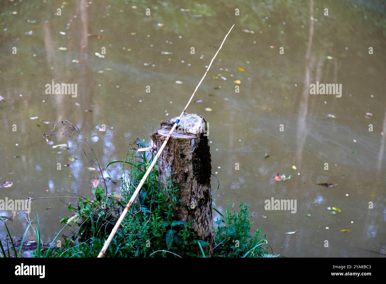 Artisanal fishing hi-res stock photography and images - Alamy