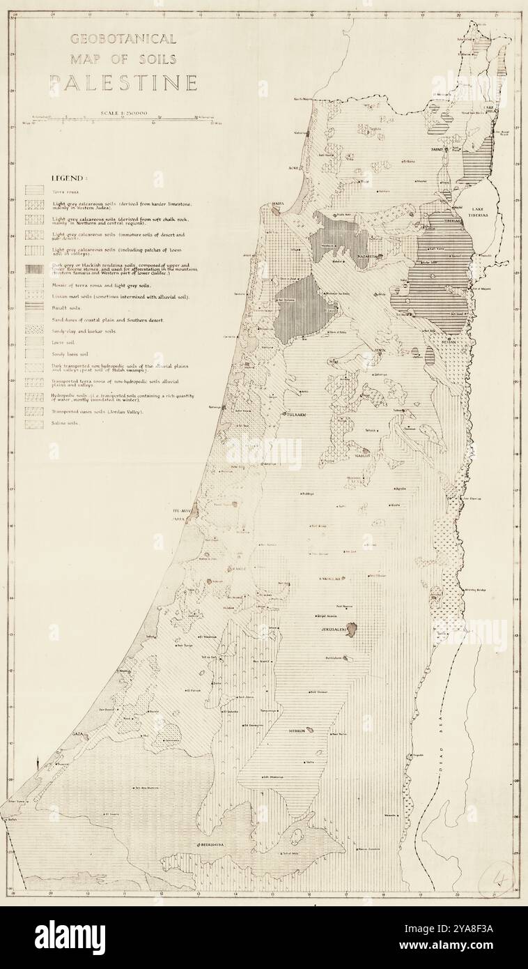 Geobotanical map of soils Palestine, English language, c 1945 - Scale 1 ...