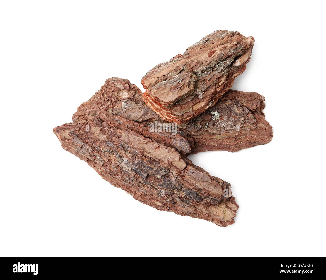 Tree natural texture view Cut Out Stock Images & Pictures - Alamy