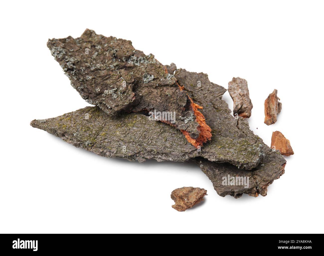 Pieces of tree bark isolated on white Stock Photo - Alamy