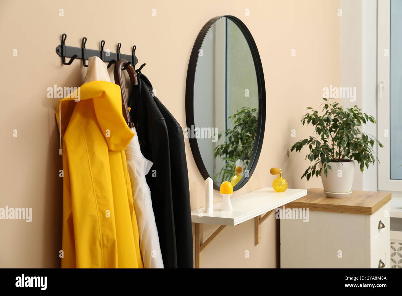 Coat rack with clothes, mirror, houseplant and chest of drawers in ...